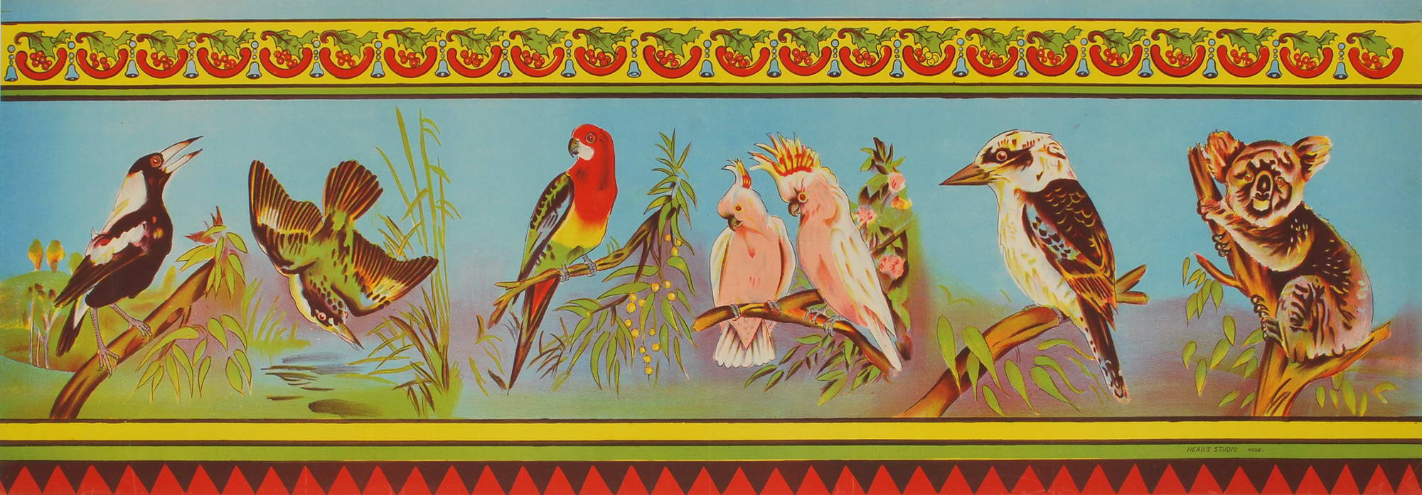 [Australian Fauna] – Posters + Prints